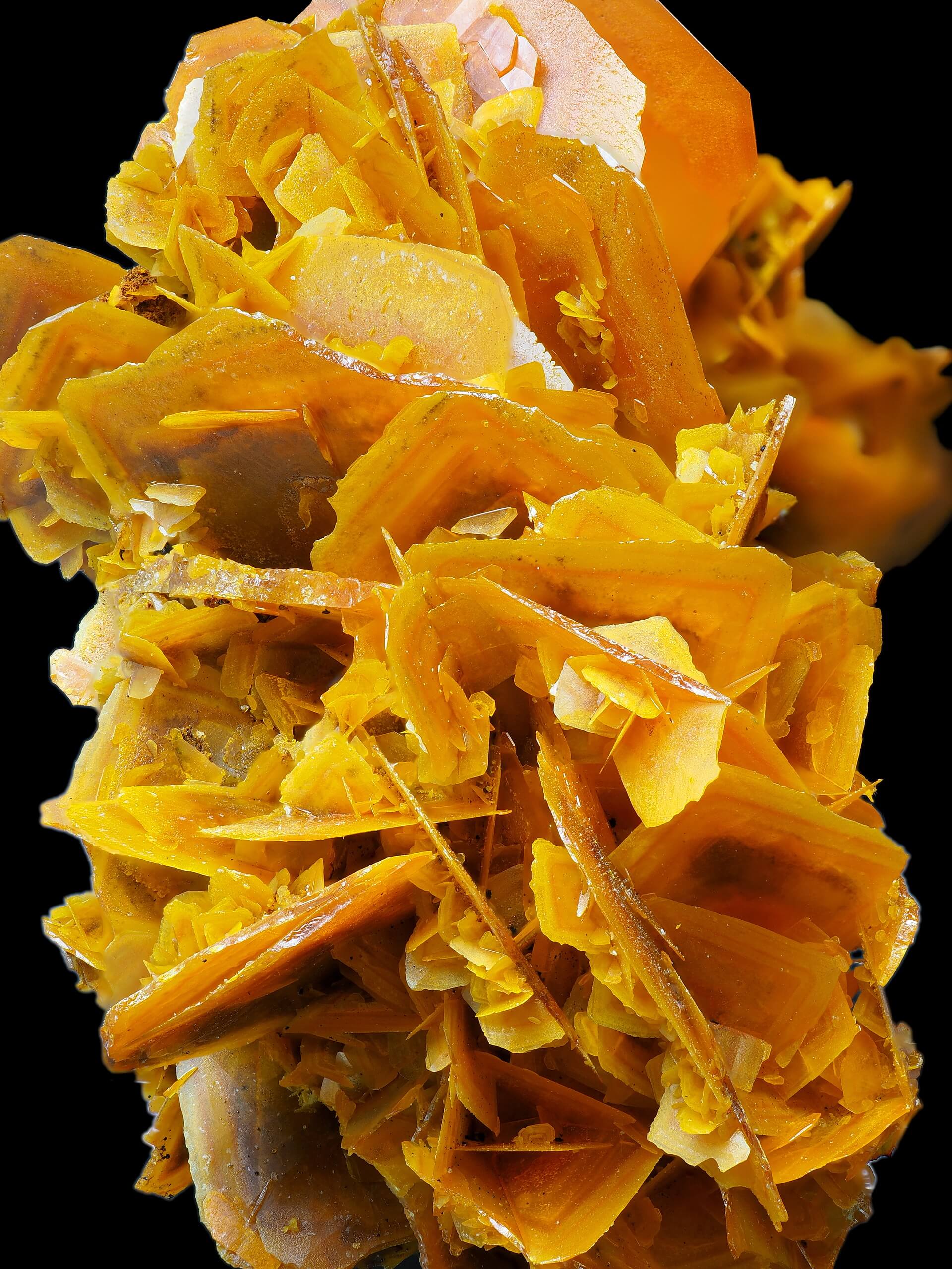 Wulfenite Blades - Leo Jahaan Art